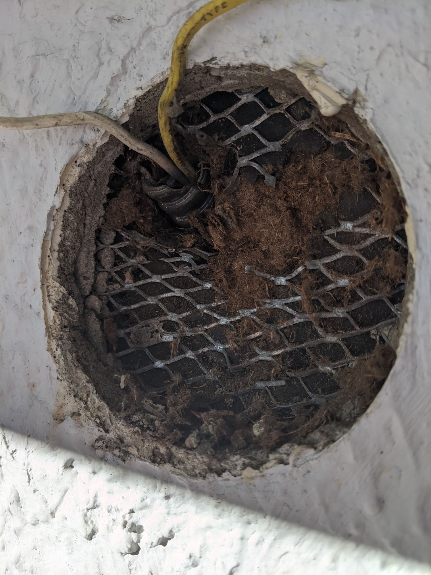 Is it damaged ceiling light or socket - DoItYourself.com Community Forums