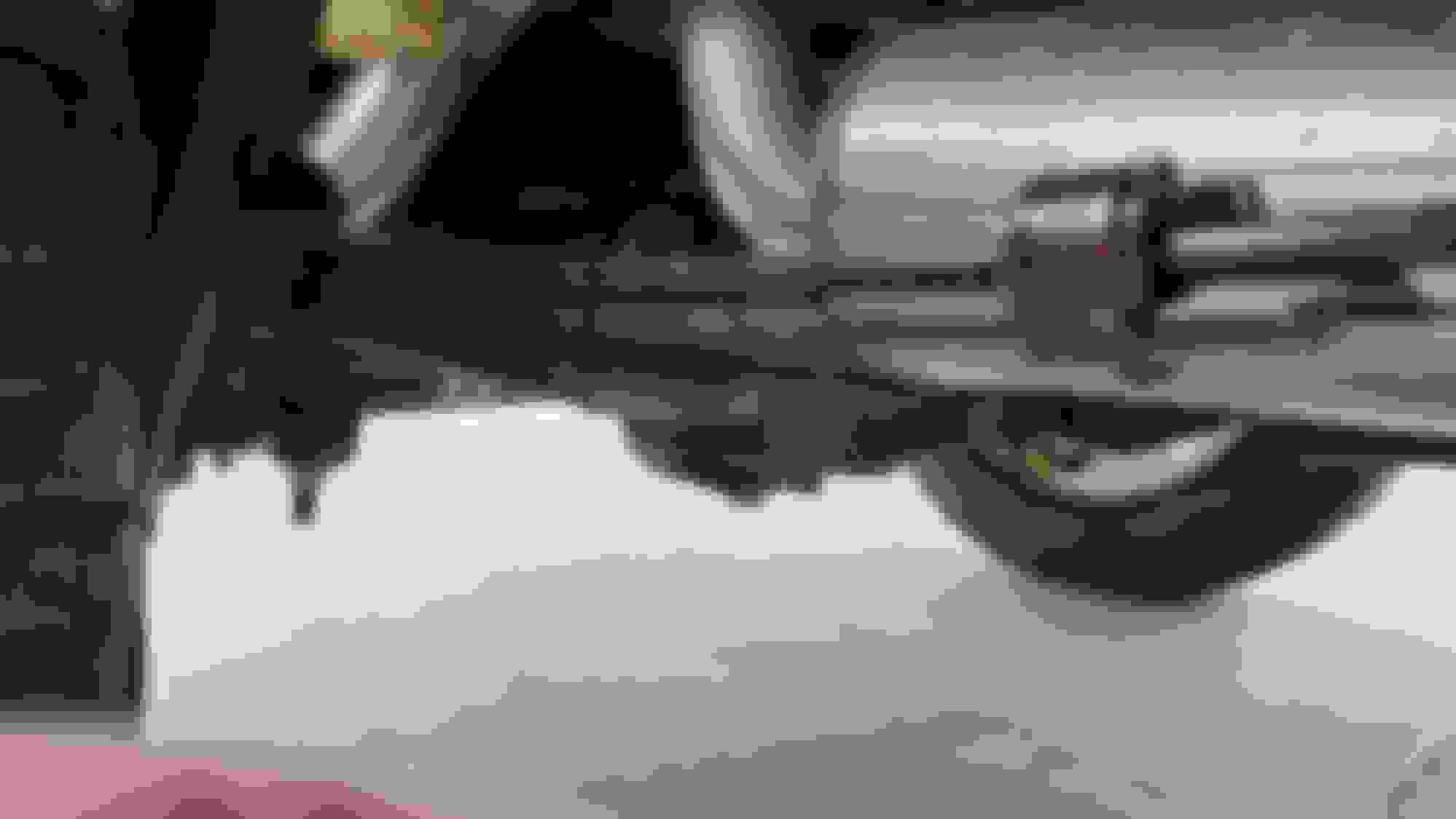 2021 F-150 SCREW XLT - HDPP Build - Ford F150 Forum - Community of Ford ...