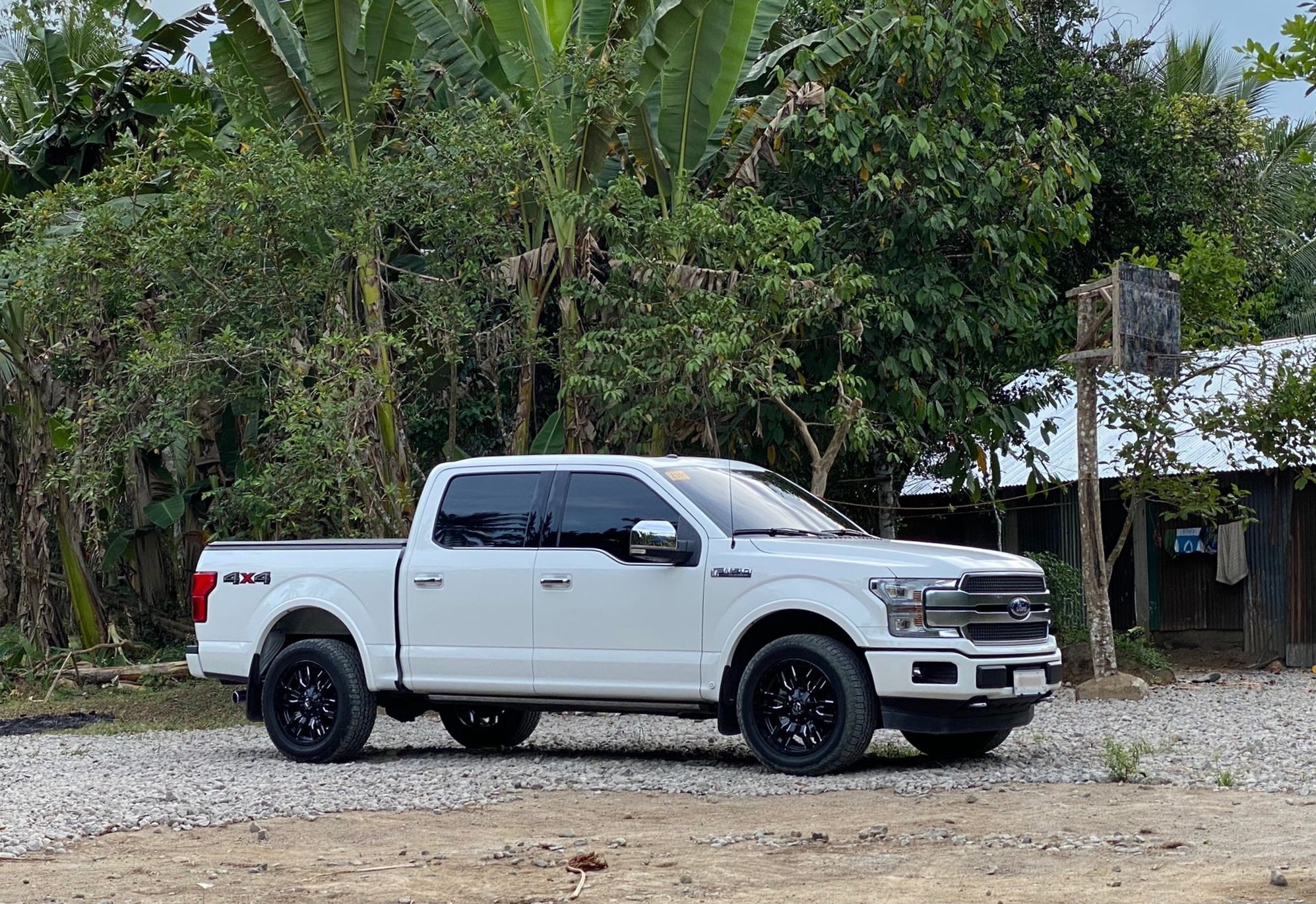 Fuel on my 20 Platinum - Ford F150 Forum - Community of Ford Truck Fans