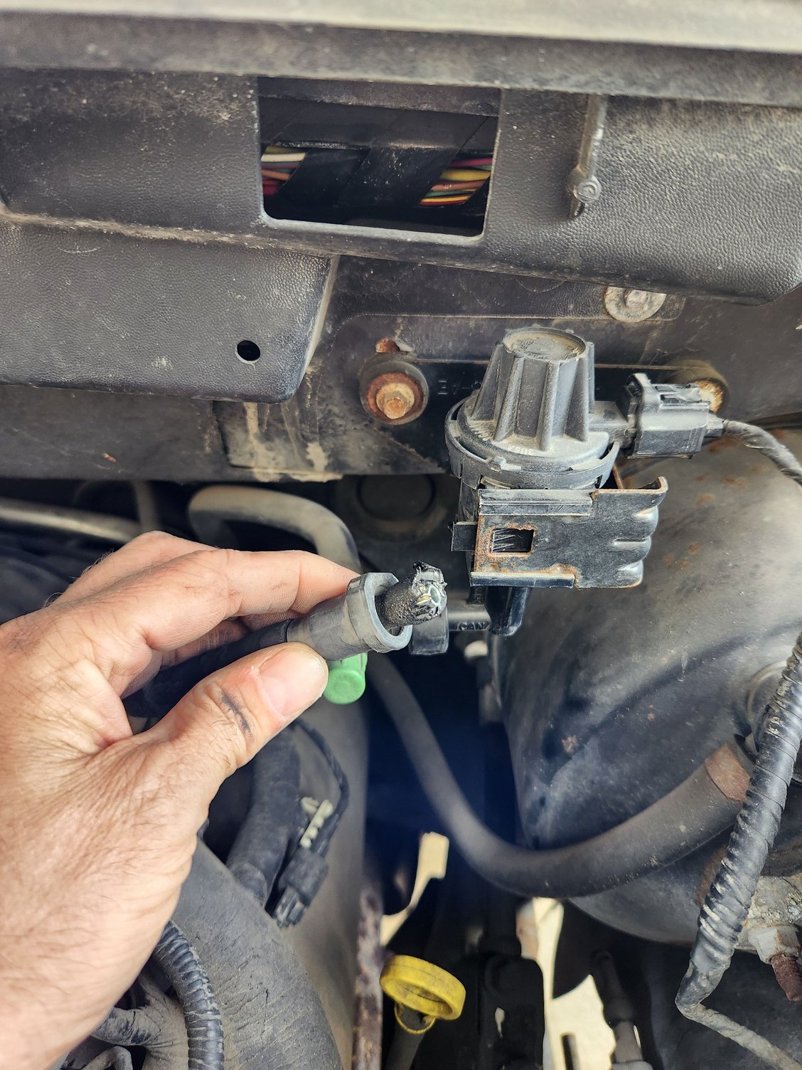 2004 F150 FX4 5.4 ~ P0451 now P0455 Codes EVAP System Help - Ford F150 ...