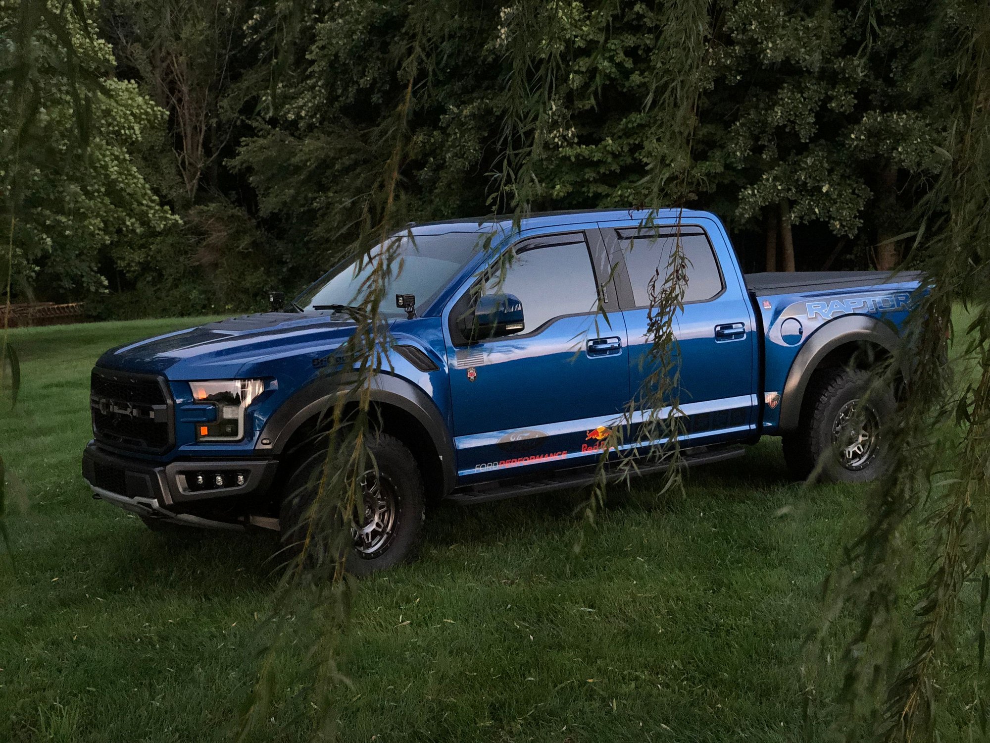 RedX 2017 Lightning Blue Raptor Build Thread - Page 22 - Ford F150 ...