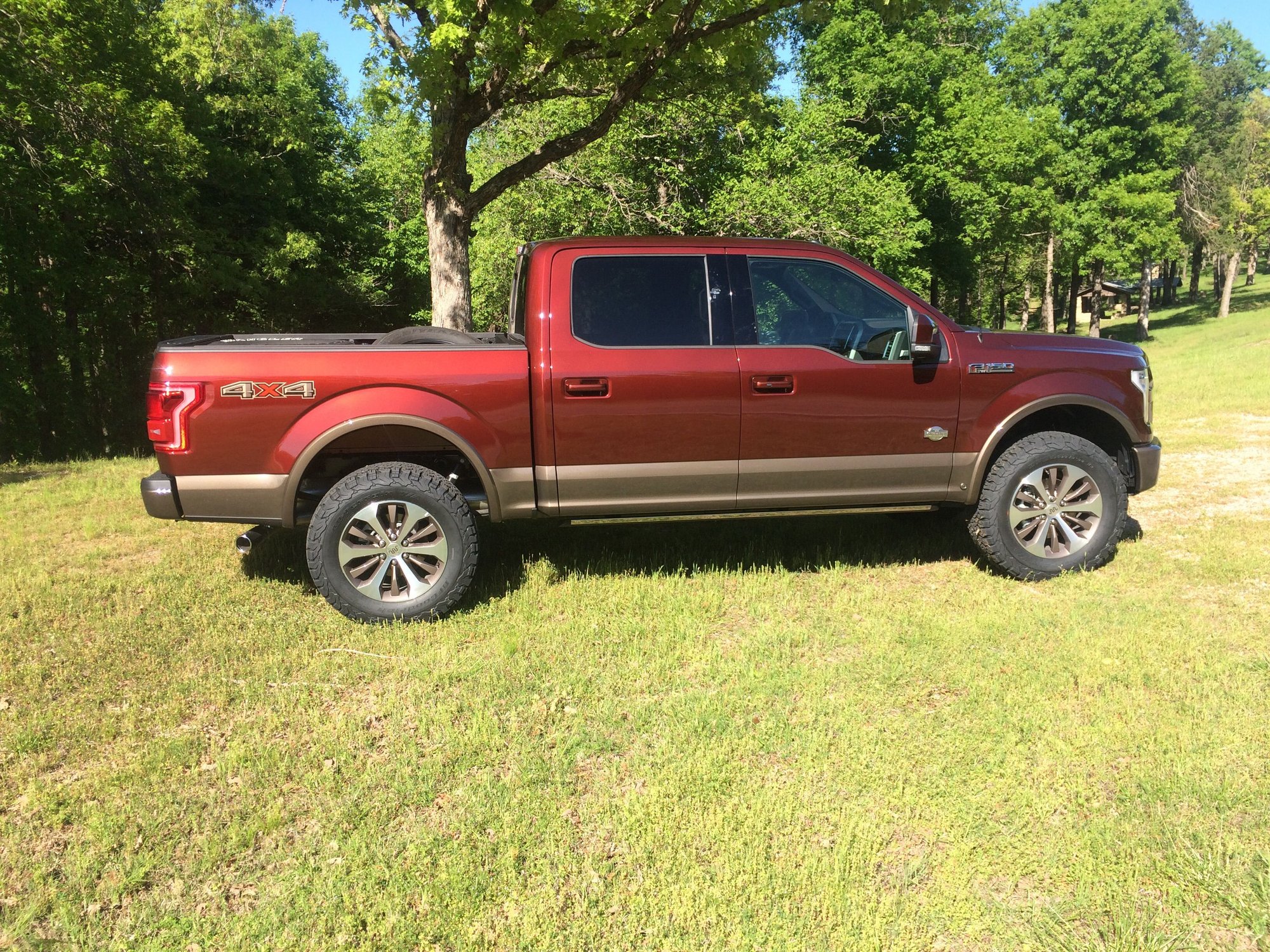 Allow me to introduce you guys to my new BFF!!!! (Bronze Fire F150 ...