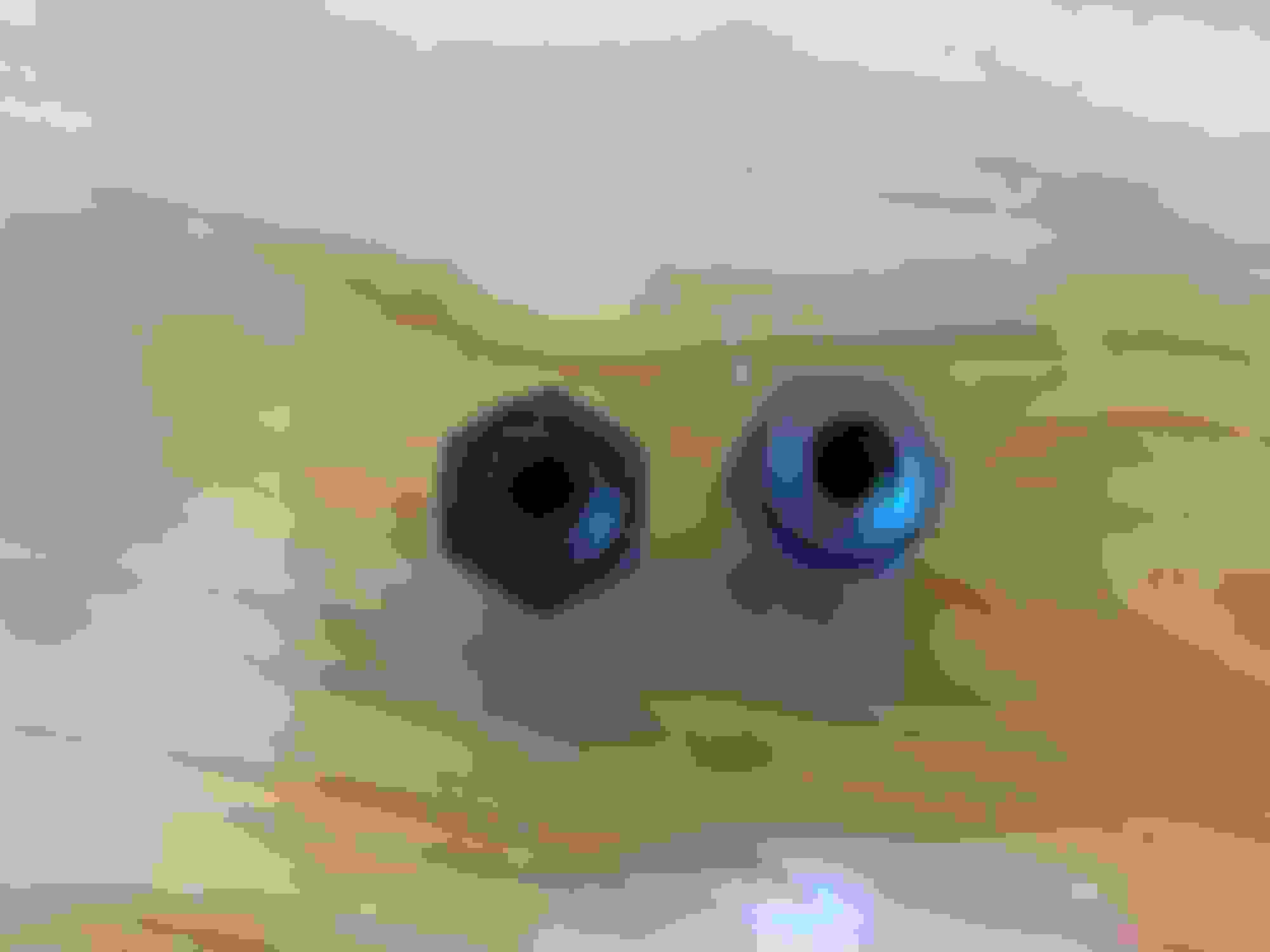 Transmission Line Quick Disconnect - Ford F150 Forum - Community of ...