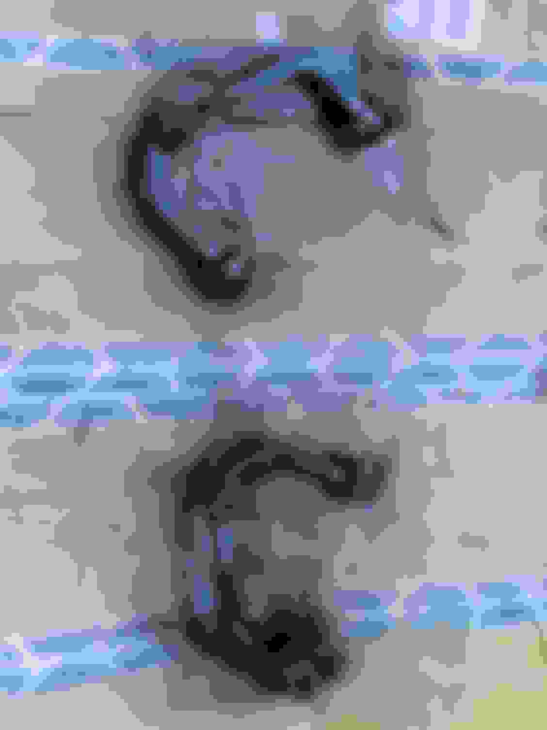 No more rusty upper control arms for me - Ford F150 Forum - Community ...