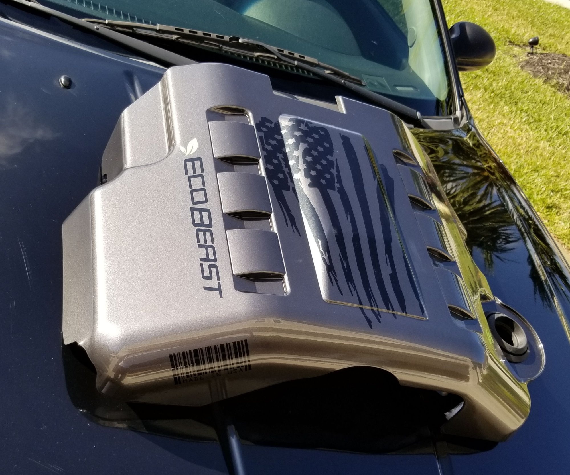 Custom EB engine covers? Show 'em! - Page 2 - Ford F150 Forum ...