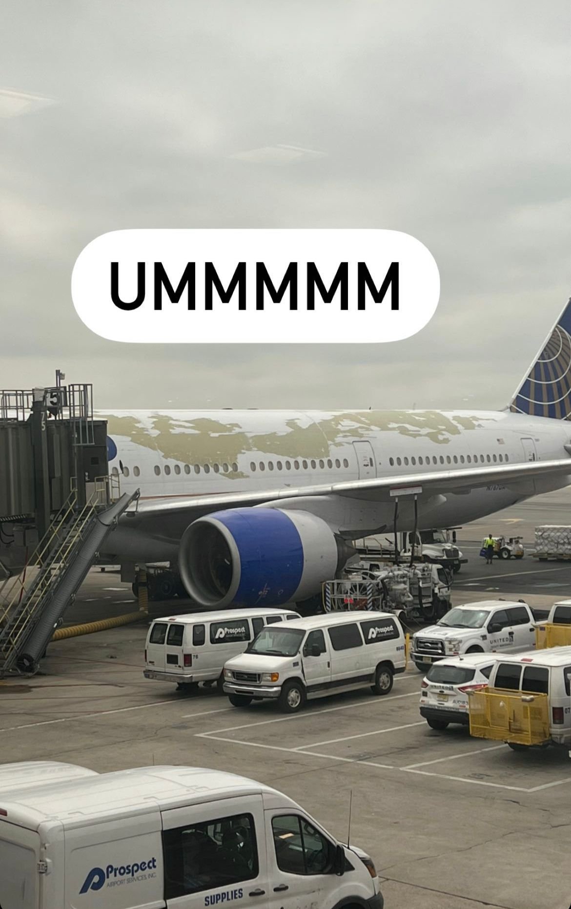 Security mess at AMS - FlyerTalk Forums