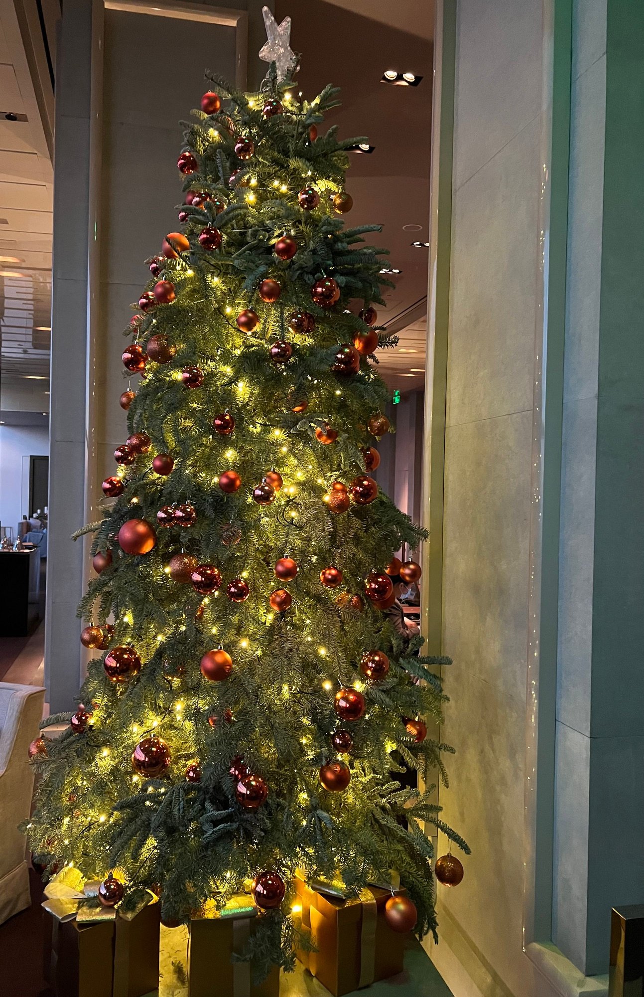 Post your Hyatt Christmas tree - Page 3 - FlyerTalk Forums
