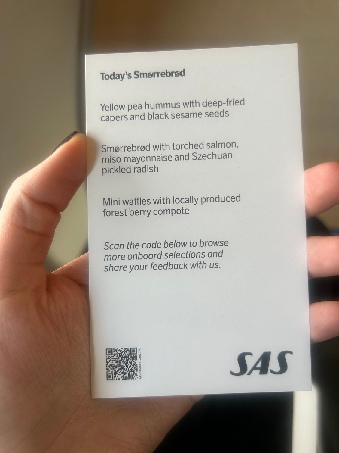 SAS to Bring Back European Business Class Summer 2025 - Page 17 ...