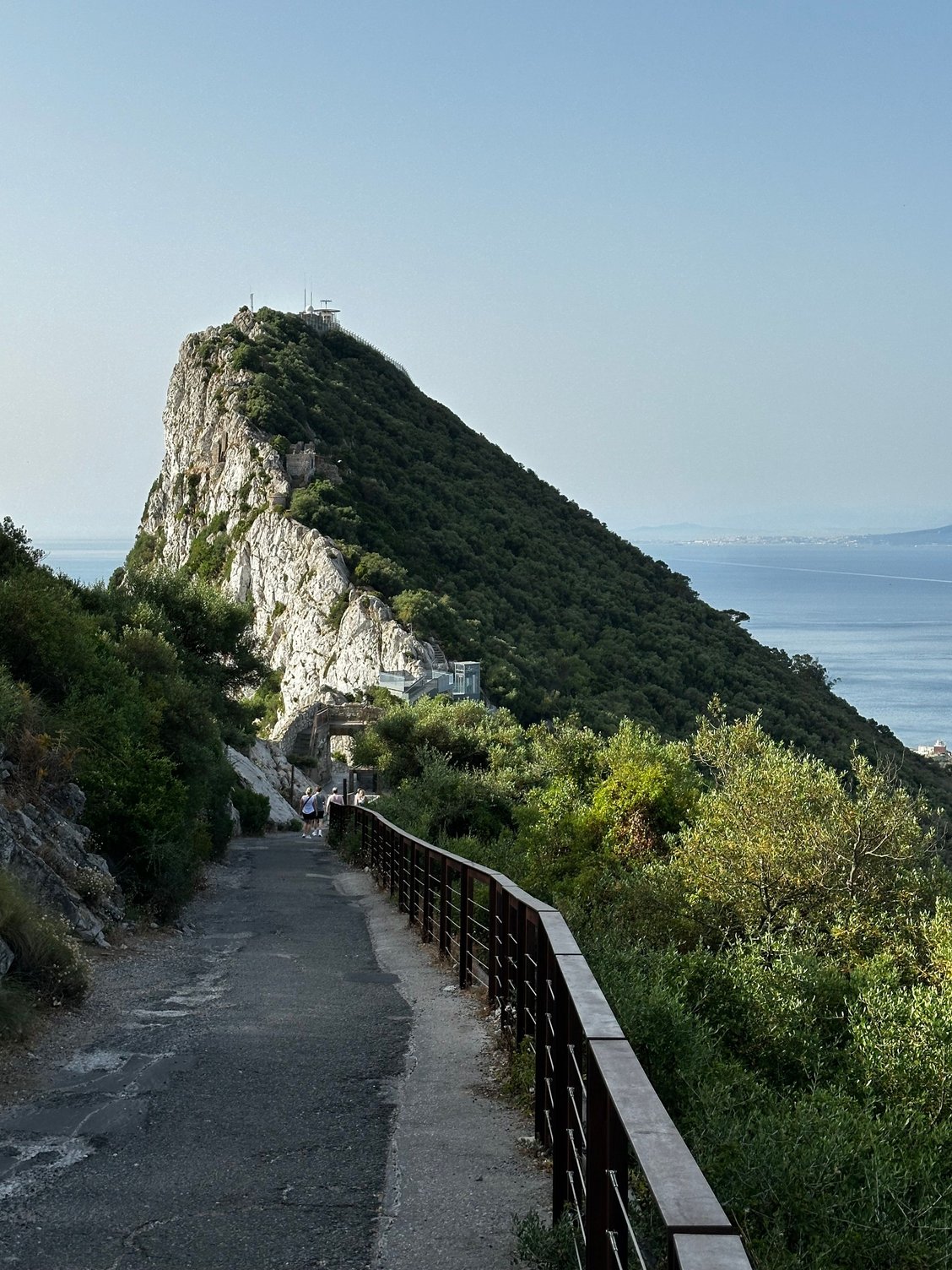 More monkeying around in Gibraltar - Page 4 - FlyerTalk Forums