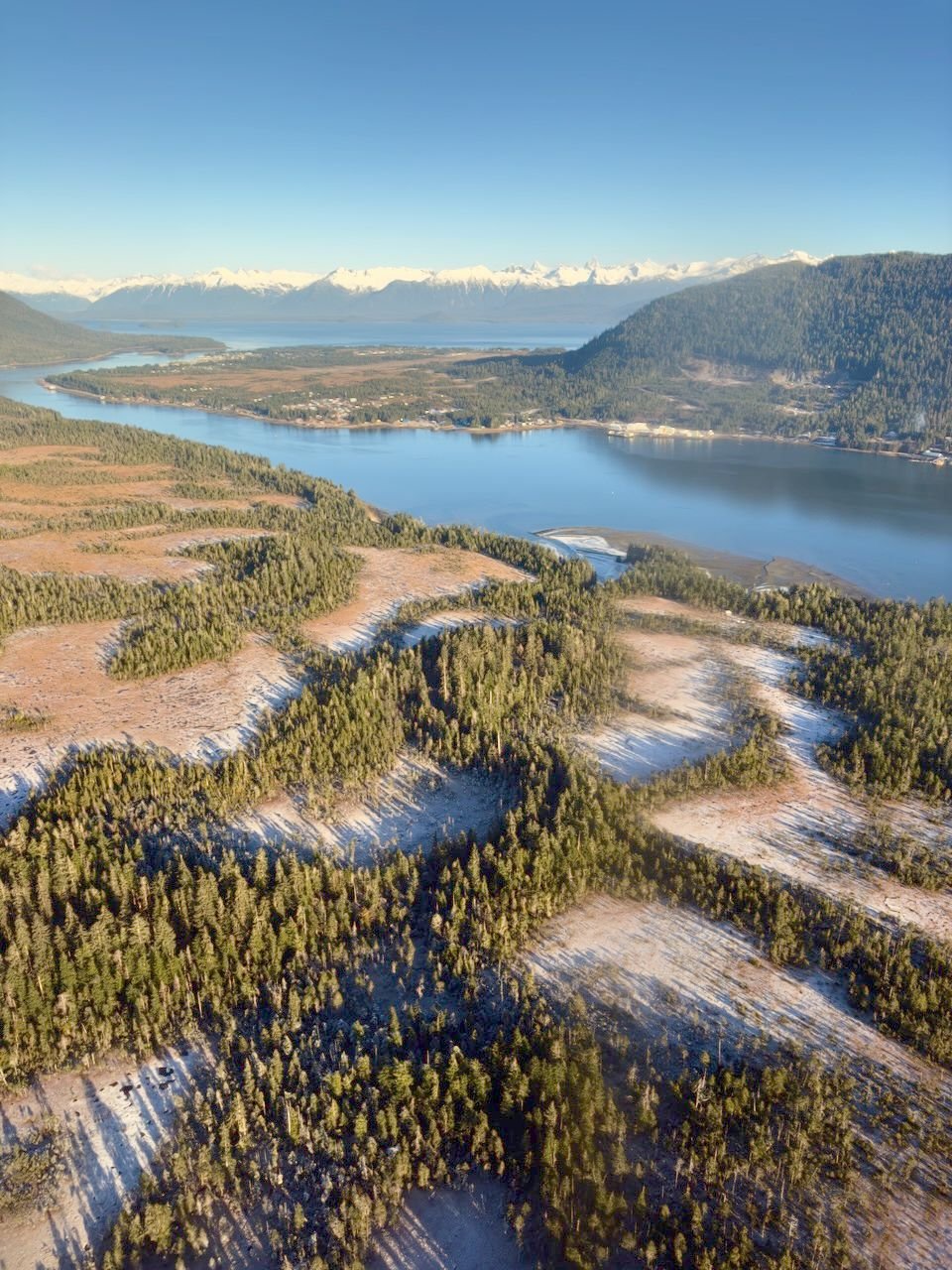 North American Tier Point Runs - 2024 - Page 13 - FlyerTalk Forums