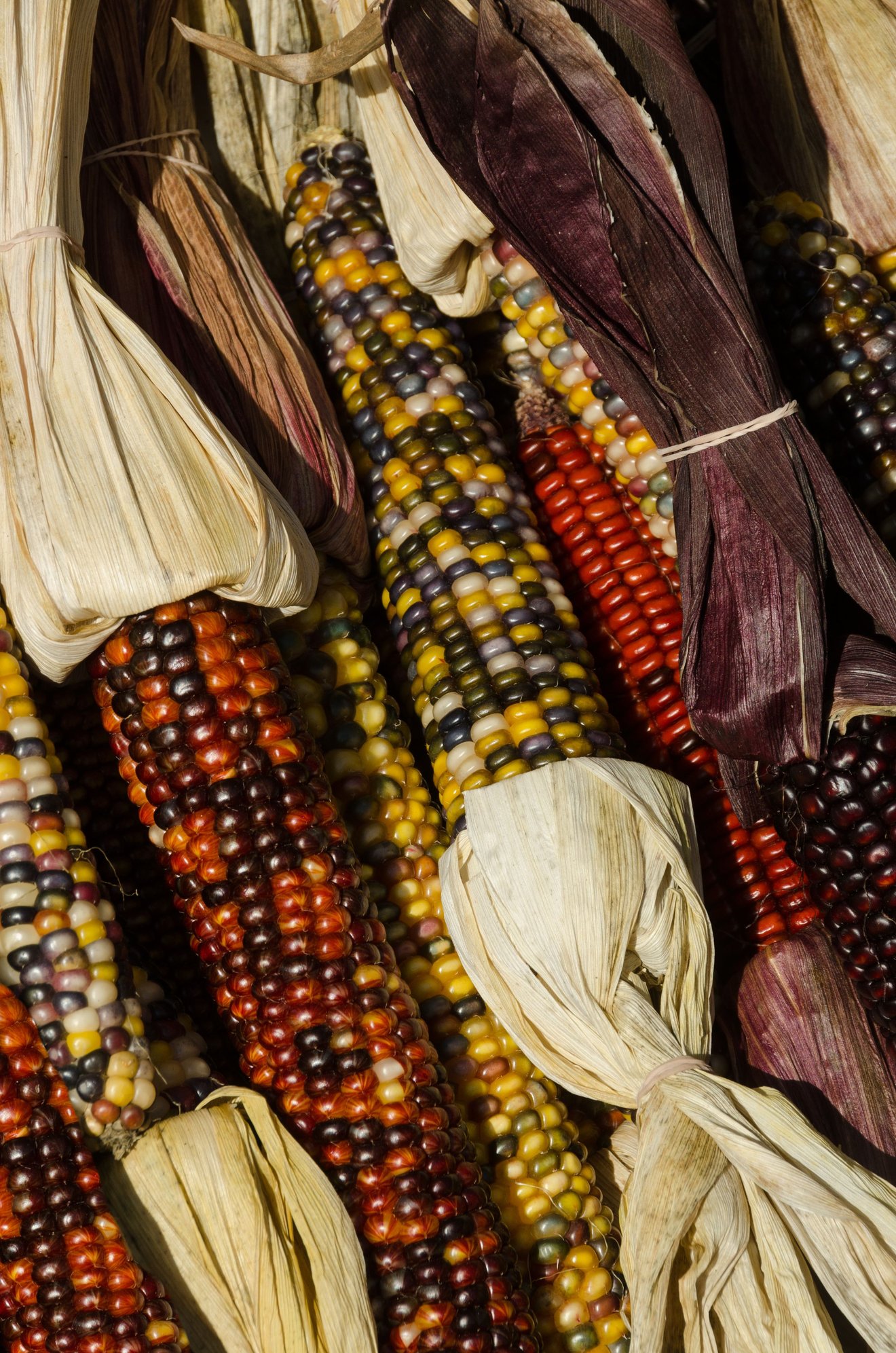 Trip Report En Pays Quebecois: a Montreal/Mt. Tremblant TR avec fotos ...