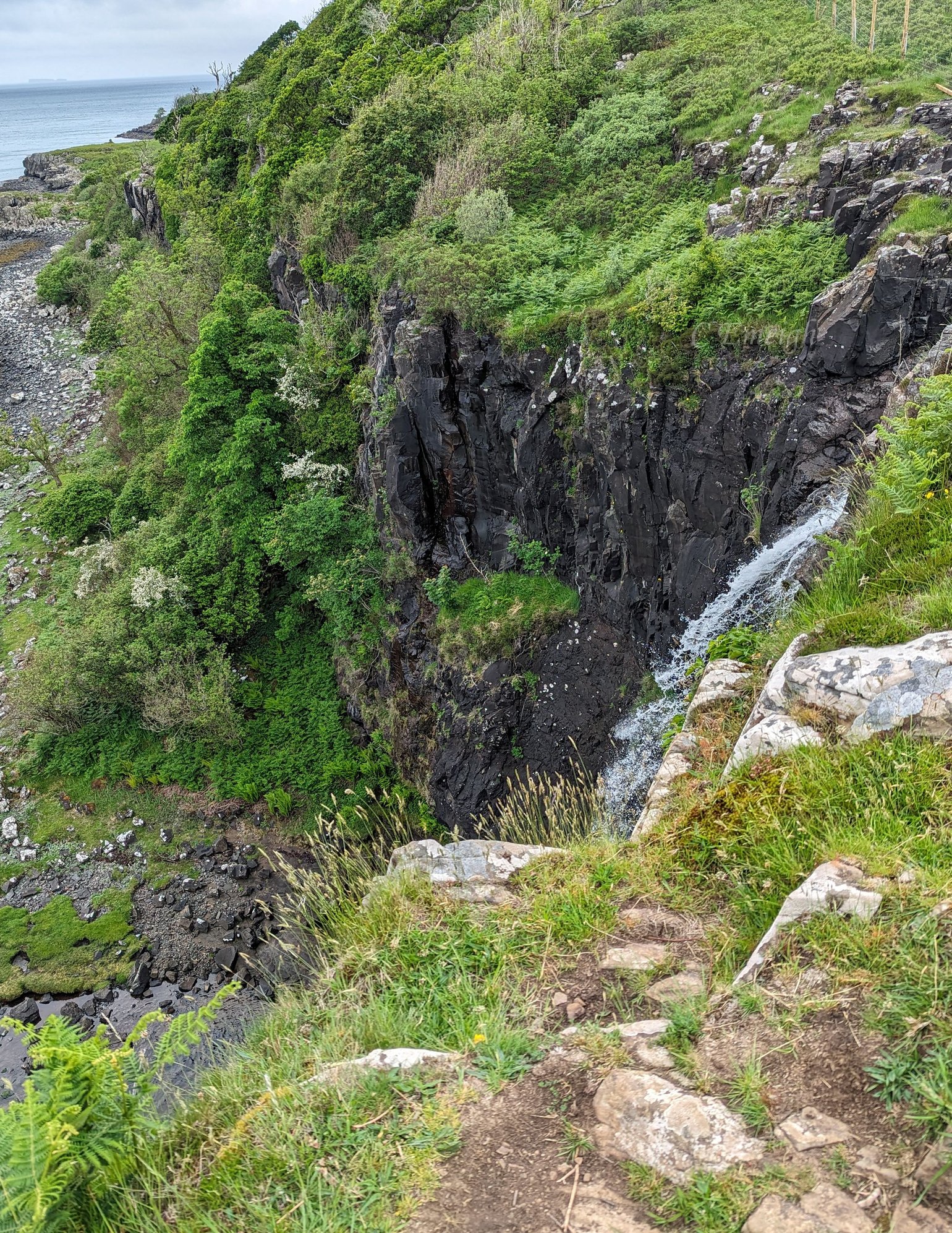 Trip Report Our May 2024 Scotland trip - Orkney, Mull, Kilmartin ...