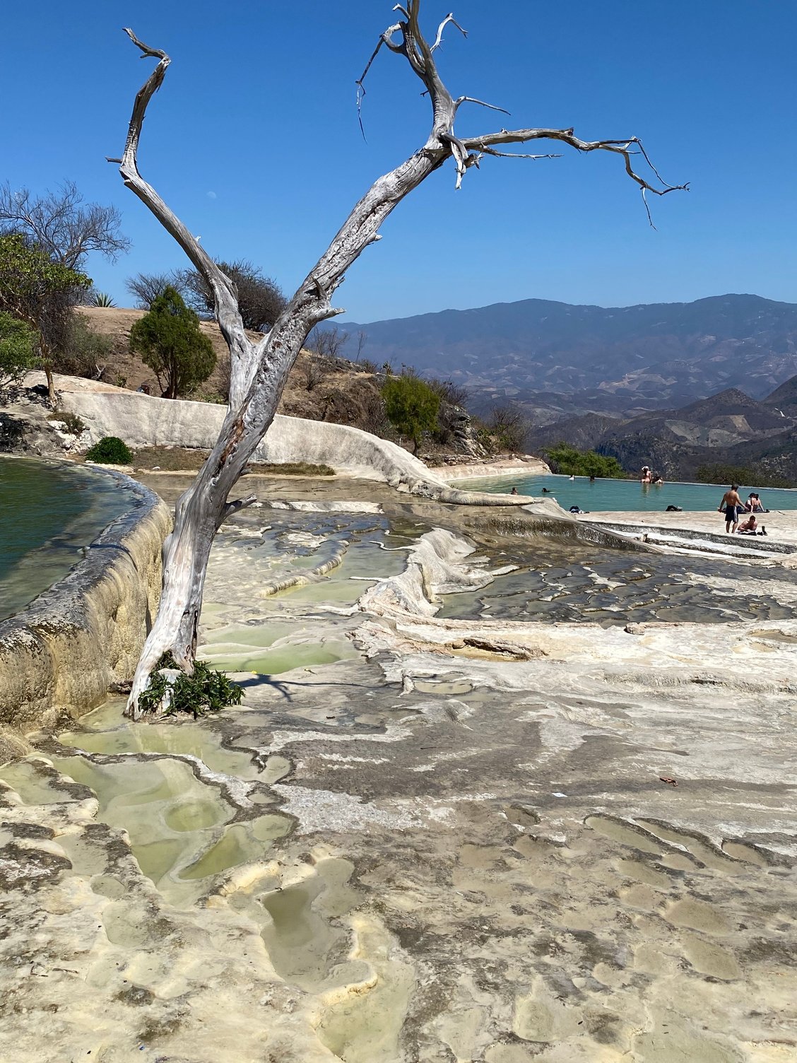 Trip Report We LOVED Oaxaca! - Page 2 - Fodor's Travel Talk Forums