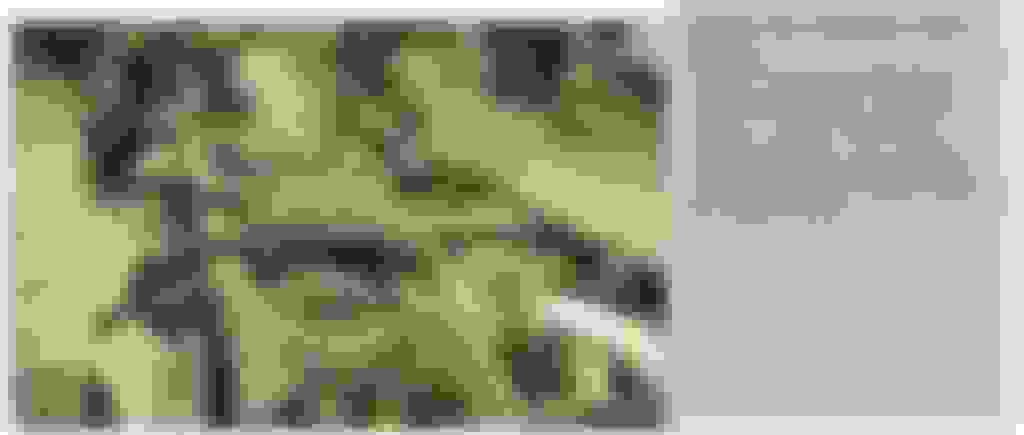 Pre Turbo EGT sensor? - Ford Truck Enthusiasts Forums