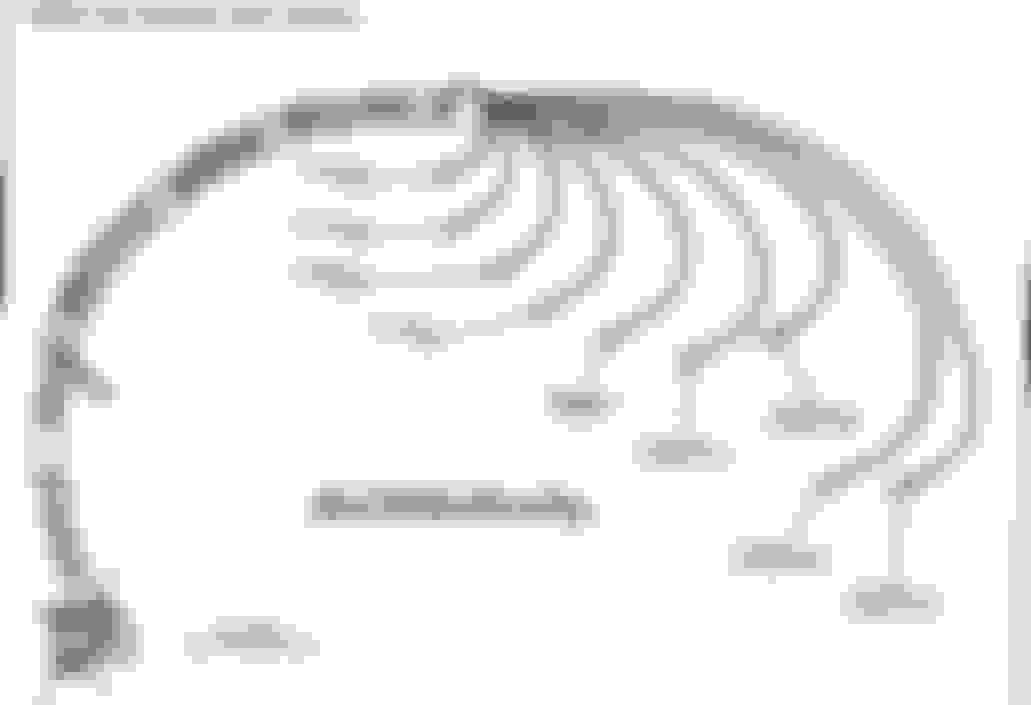 E40D: The Importance Of A Clean Trans Harness. - Ford Truck Enthusiasts ...