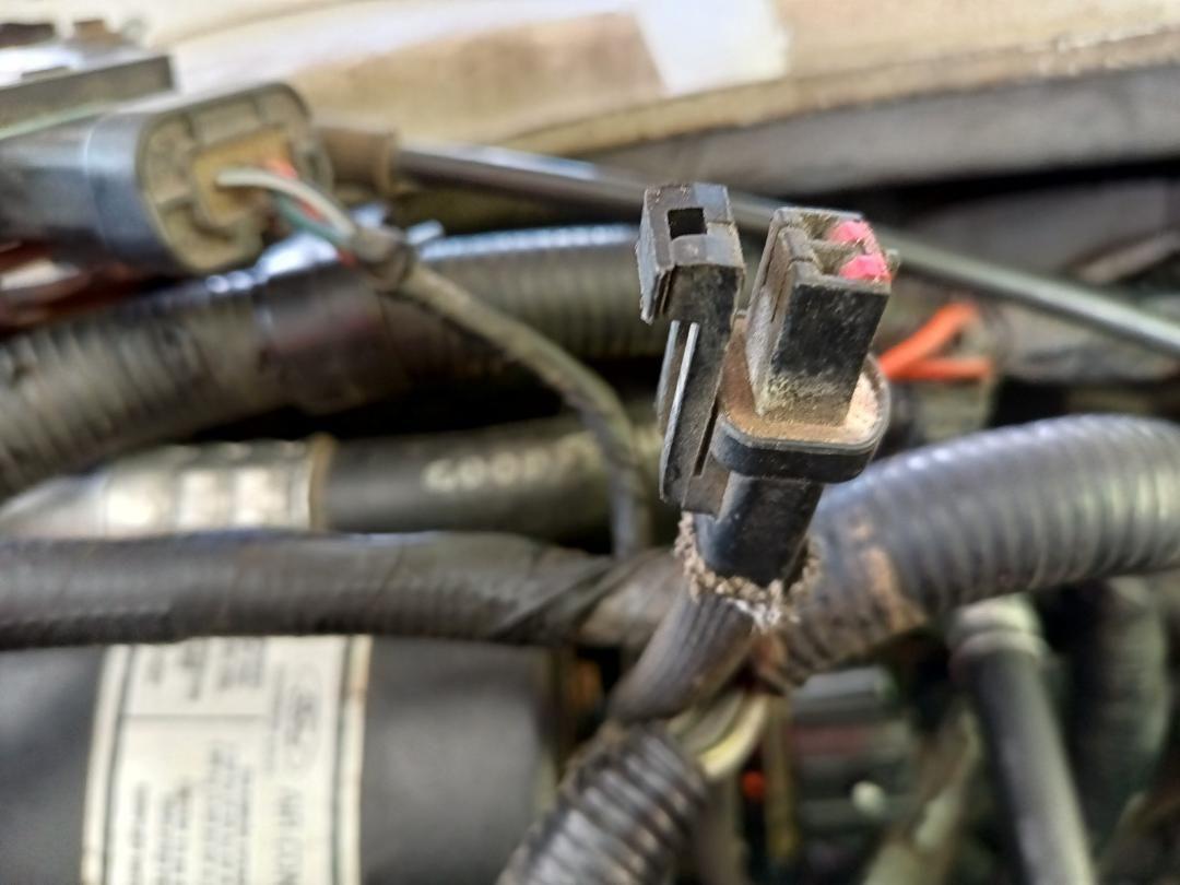 Where does this connector go to? - Ford Truck Enthusiasts Forums
