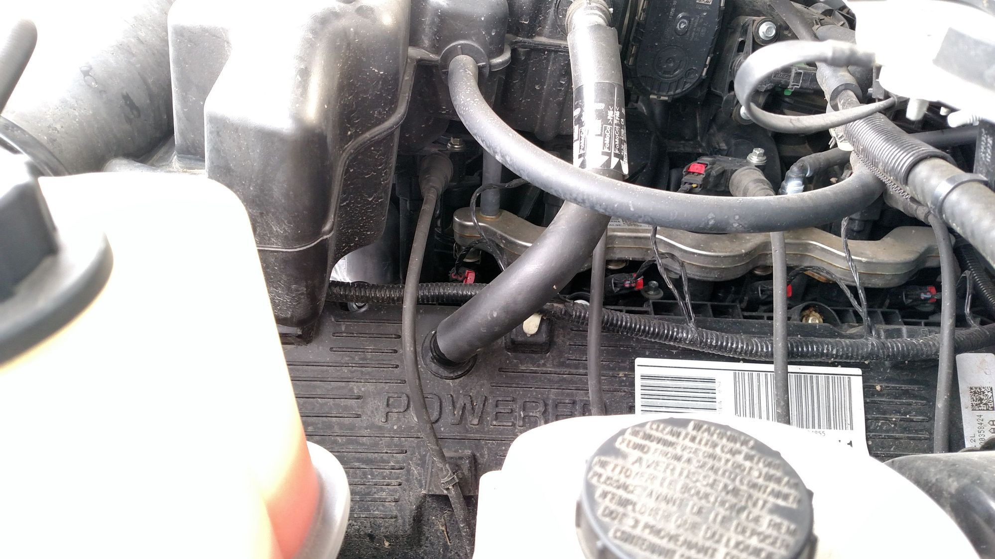 2015 6.2L PCV location? - Ford Truck Enthusiasts Forums