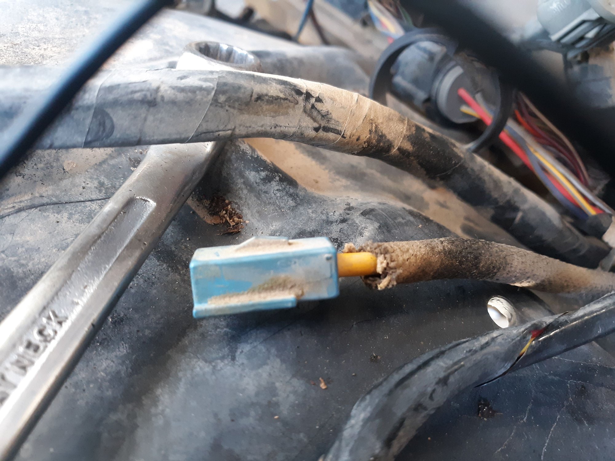 1986 F150 inertia switch - Page 2 - Ford Truck Enthusiasts Forums