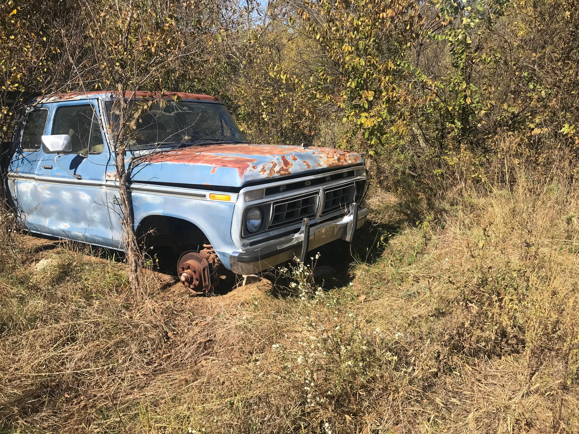 New truck project - Ford Truck Enthusiasts Forums