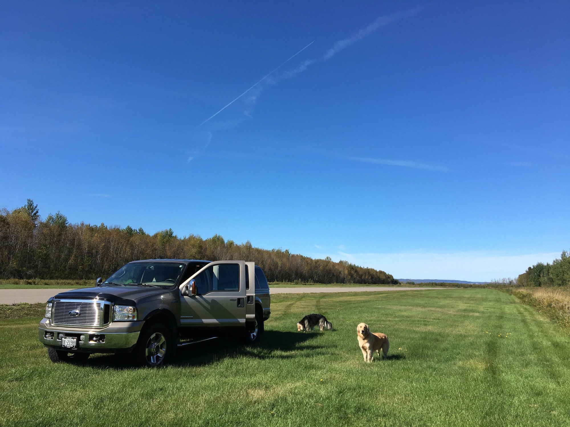 PIC'S OR IT DIDN'T HAPPEN GEN 2 - Ford Truck Enthusiasts Forums