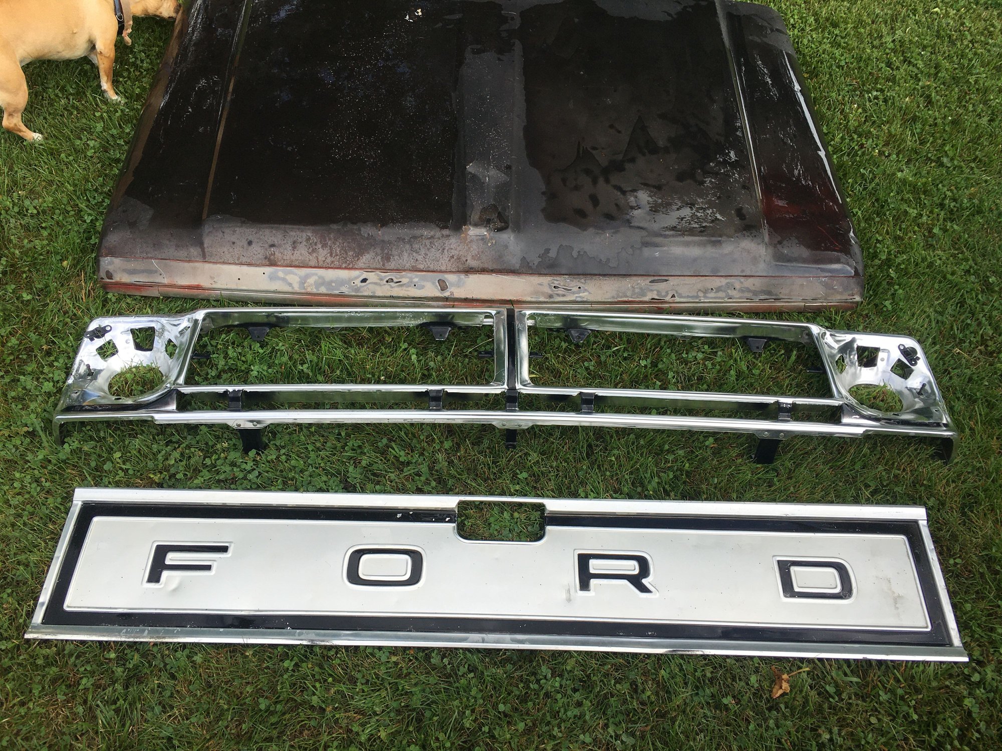 Tailgate Trim Package? - Ford Truck Enthusiasts Forums