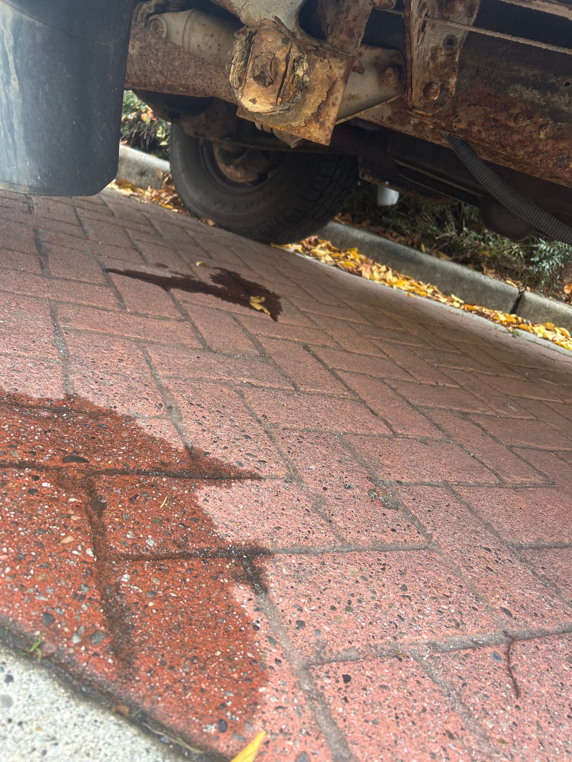 rust - Ford Truck Enthusiasts Forums