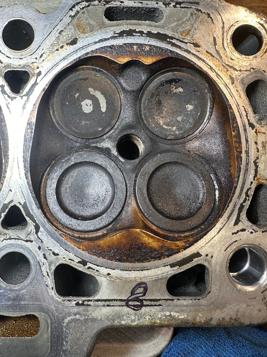 Do any of these valves look tuliped? - Ford Truck Enthusiasts Forums