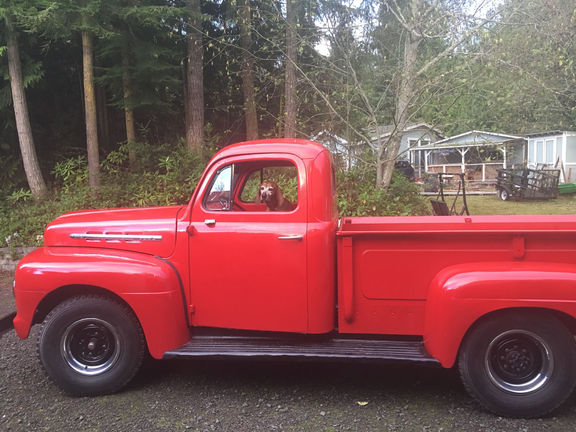 Another Roll Call - Truck Dogs - Ford Truck Enthusiasts Forums