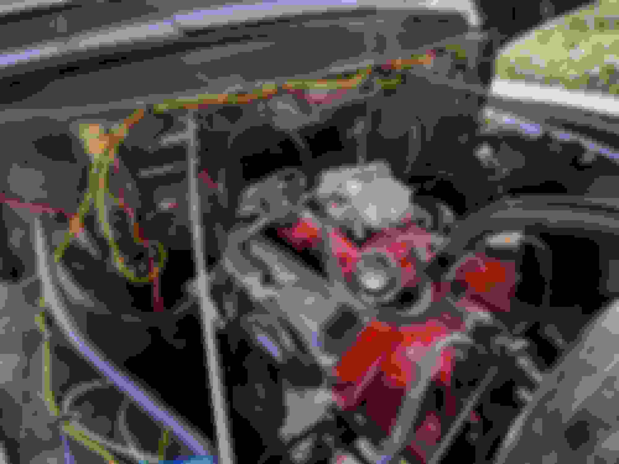 292 Y Block break in. - Ford Truck Enthusiasts Forums