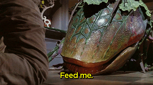 FTN Dumb Idea Time Thanksgiving Edition: 4-Line Fuel Feed With A Twist ...