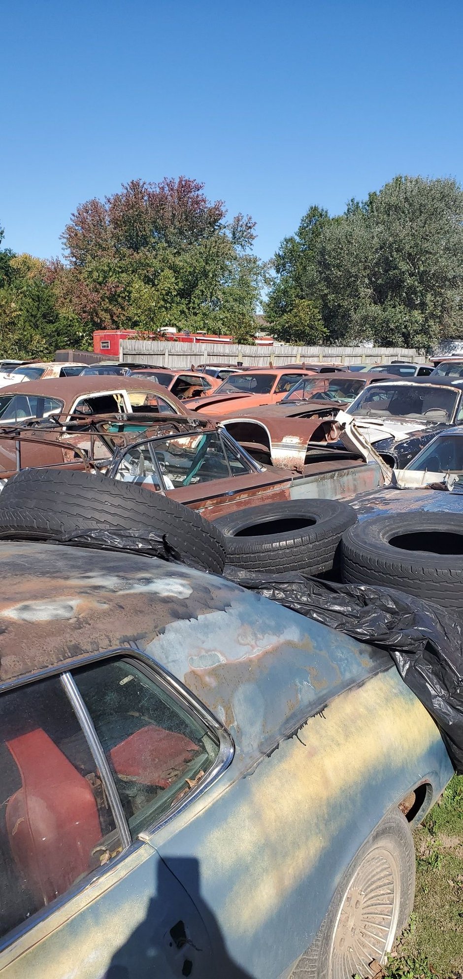 October Halloween Hooligan Chat and BS Thread 2020 - Page 11 - Ford ...