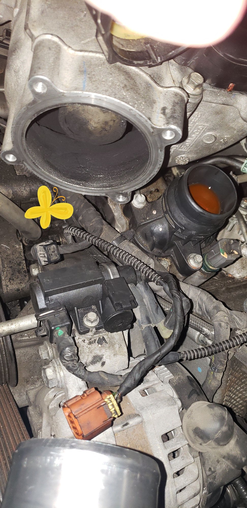 Missing plug in? - Ford Truck Enthusiasts Forums