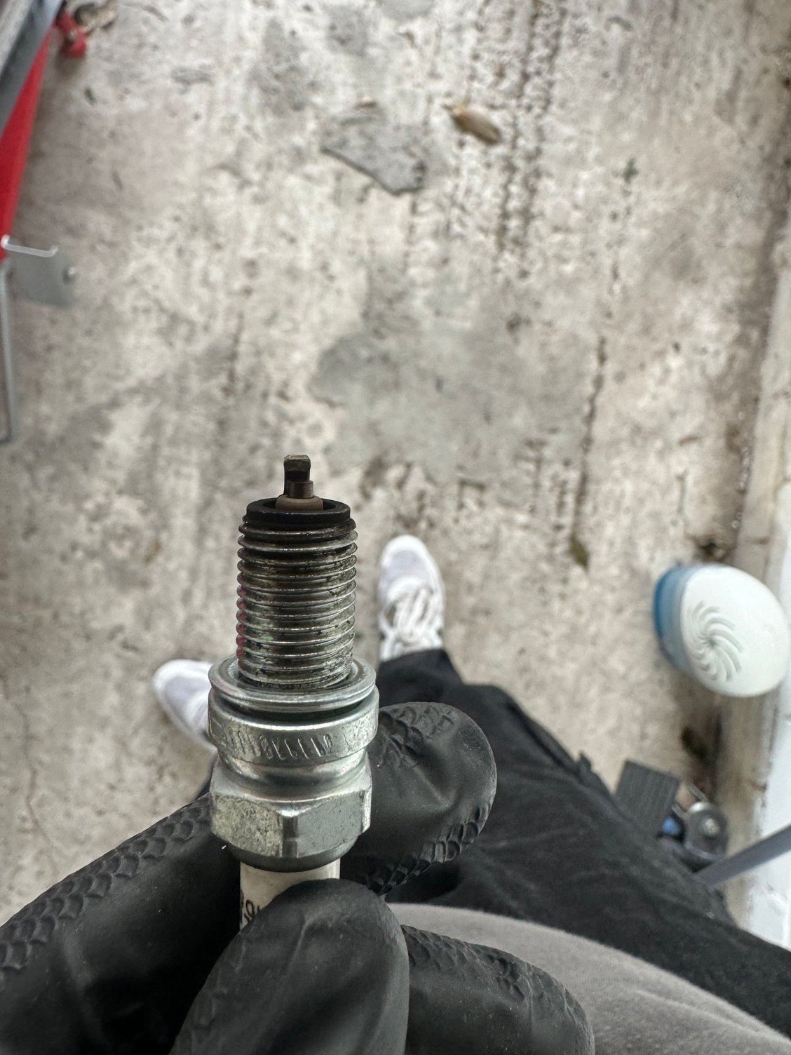 TC88 Engine Rattle - Page 6 - Harley Davidson Forums