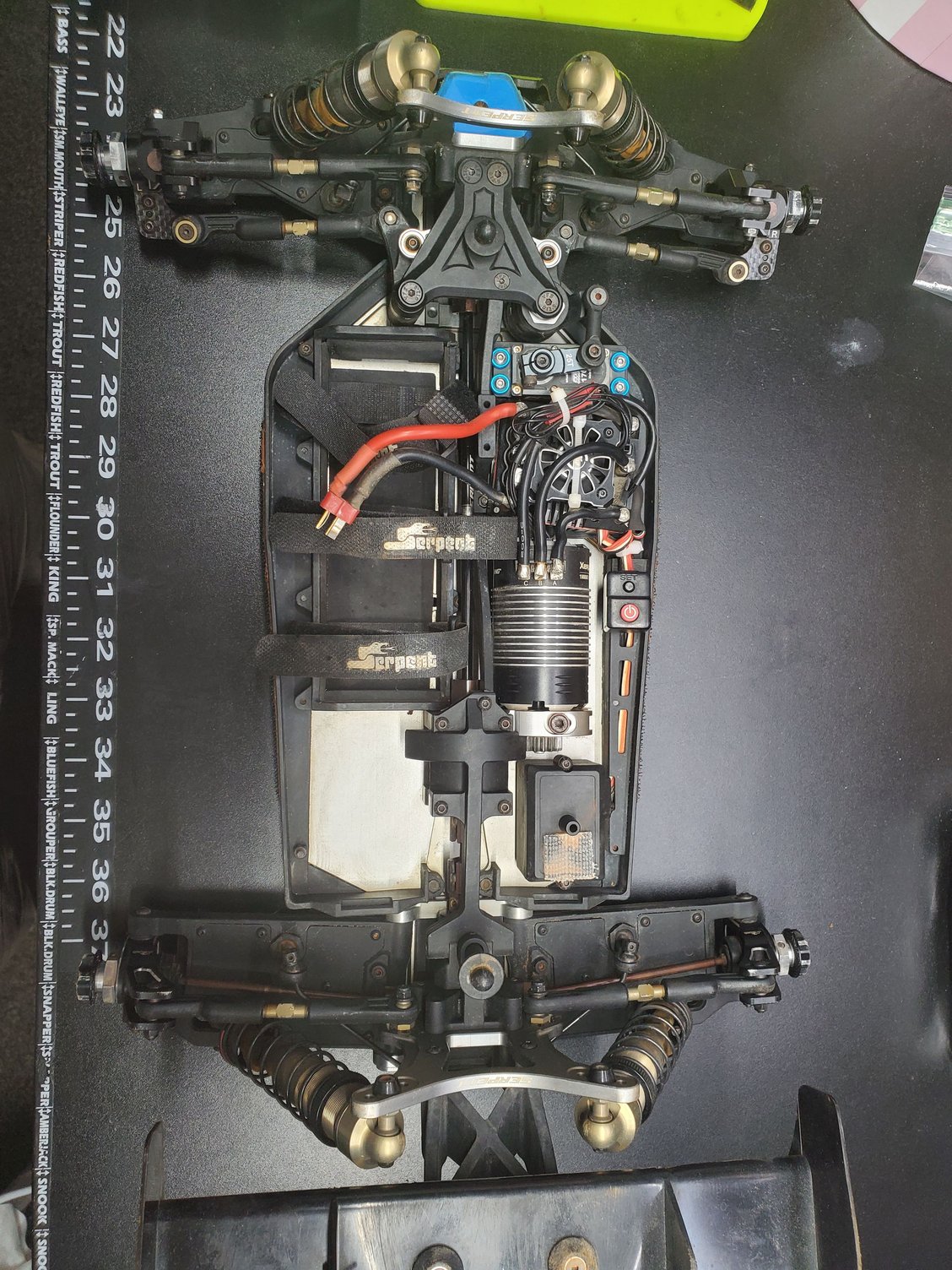 Serpent srx8 - R/C Tech Forums