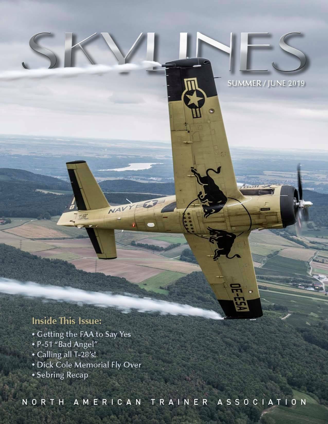 Wing Tip Smoke systems options? - RCU Forums