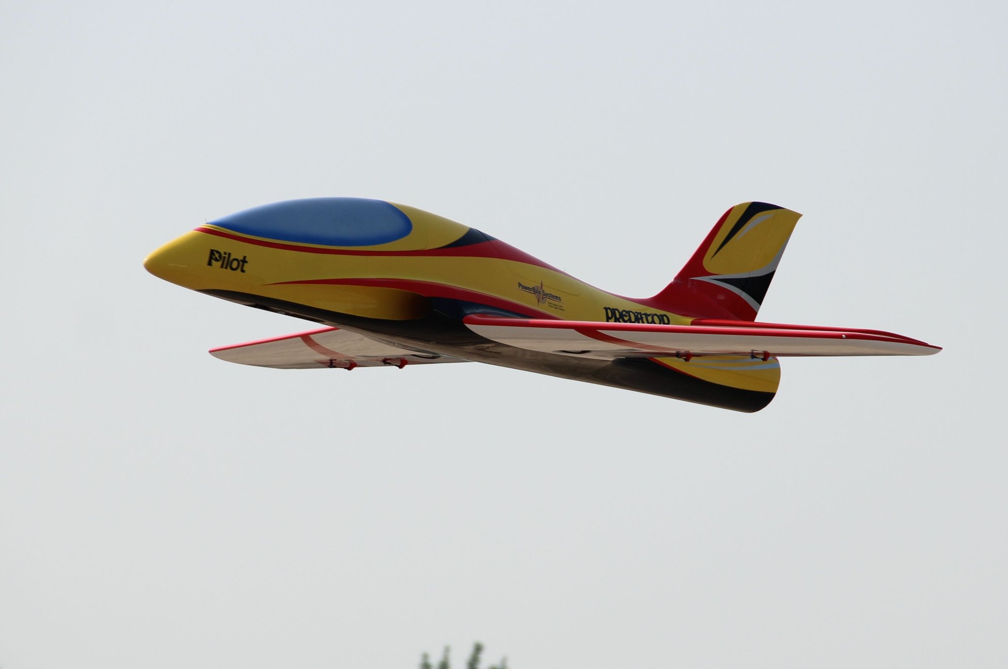 Pilot-RC 3.2m predator sport jet - RCU Forums
