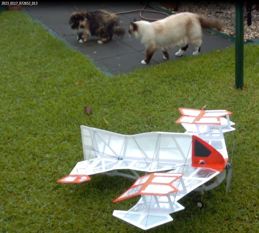 Cats and planes. - RCU Forums