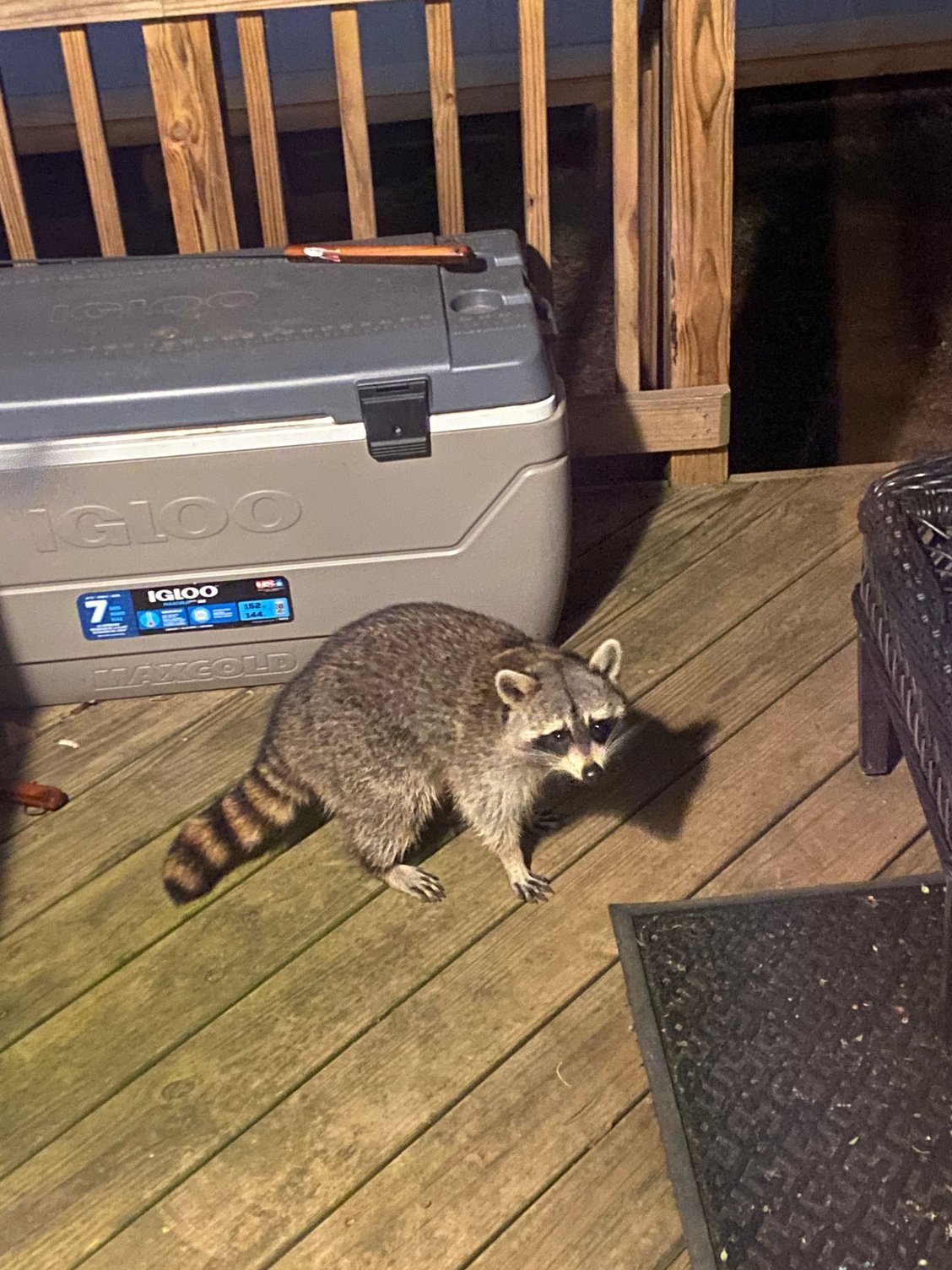 The Hull Truth - Boating and Fishing Forum - View Single Post ...