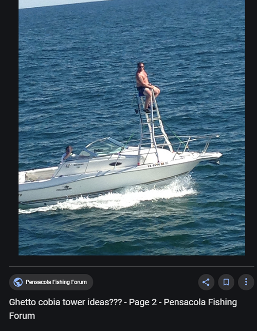 The Hull Truth - Boating and Fishing Forum - Cobia/Ling/Lemonfish