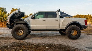 Review: MegaRexx MegaRaptor commands attention