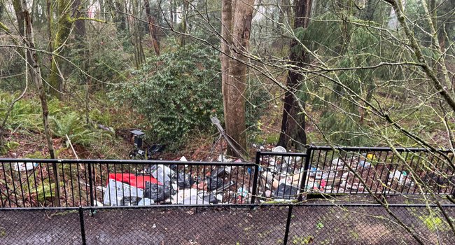 Creston Point Apartments Reviews - Seattle, WA | 13445 Martin Luther ...