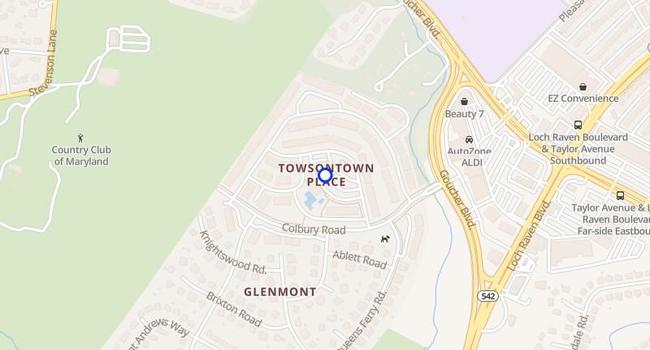 towson md zip code